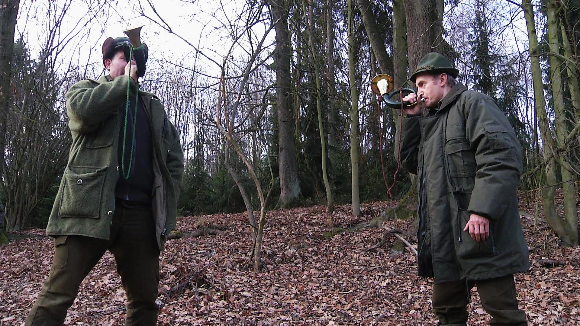 Pheasant hunting in the Albertovec pheasant farm in the Czech Republic