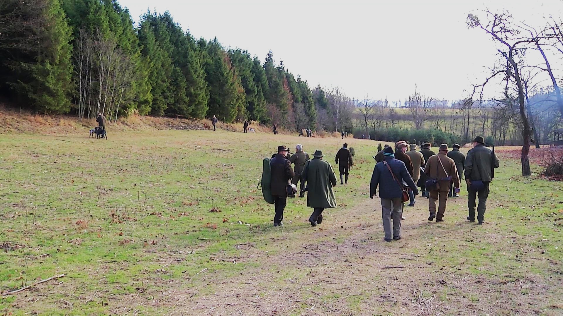Pheasant hunting in the Albertovec pheasant farm in the Czech Republic
